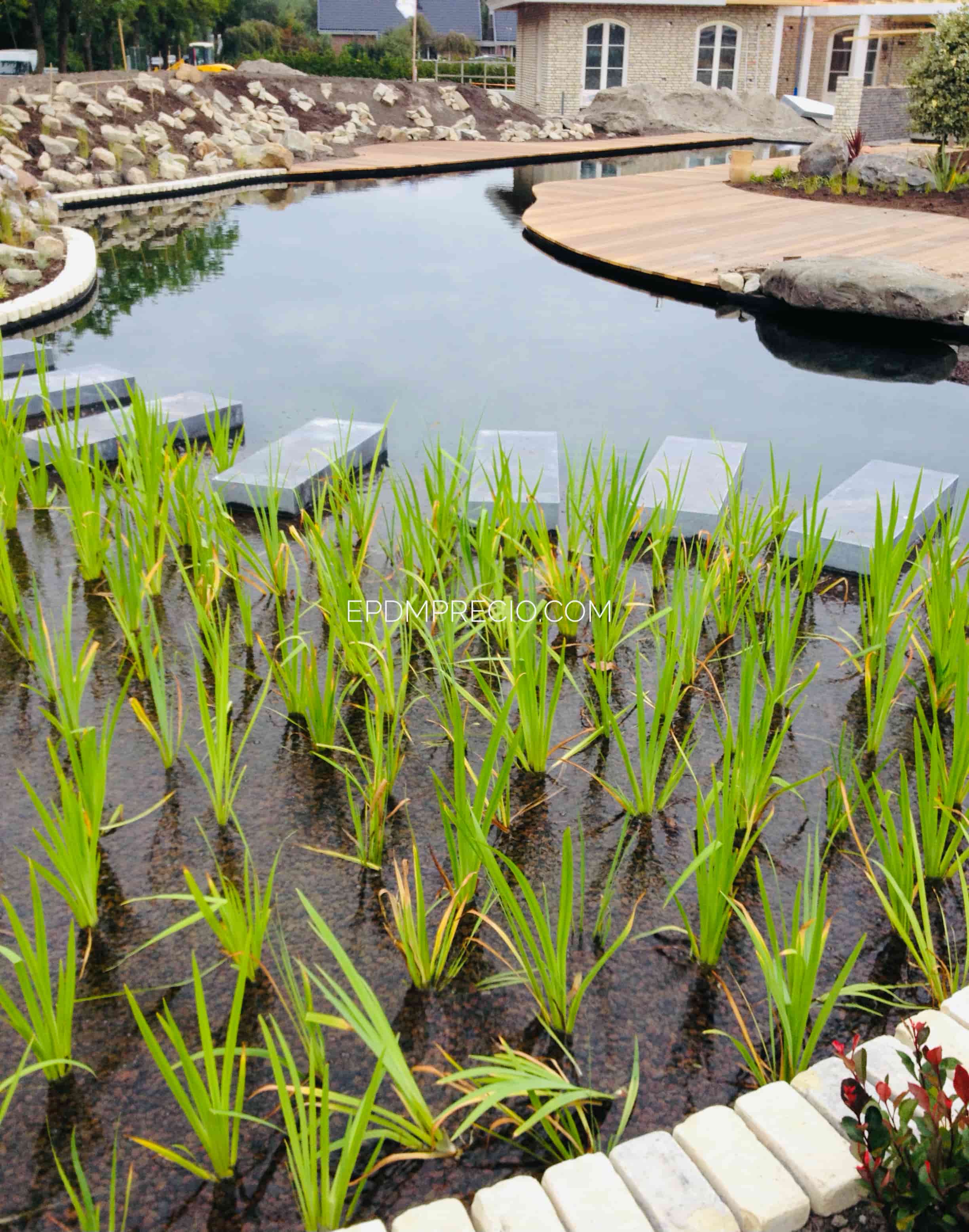 Los estanques de nuestro clientes